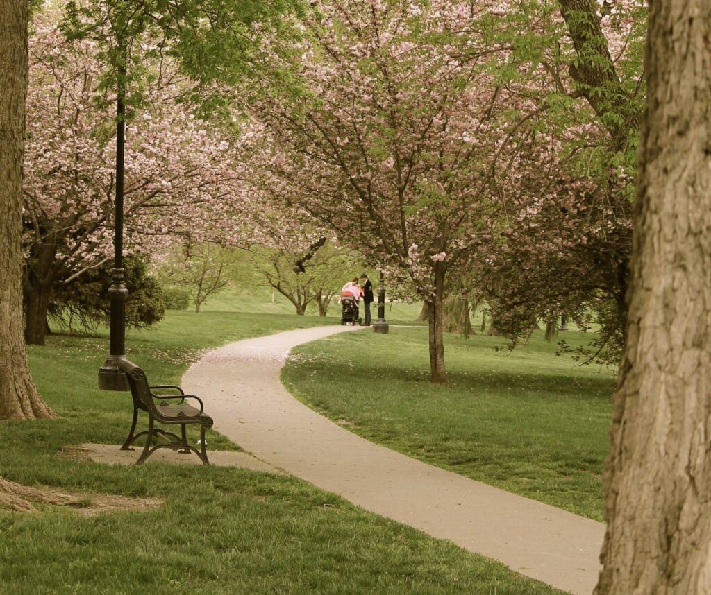 The Parks & The Arts Around the Romanelli Reserve – The Romanelli Reserve
